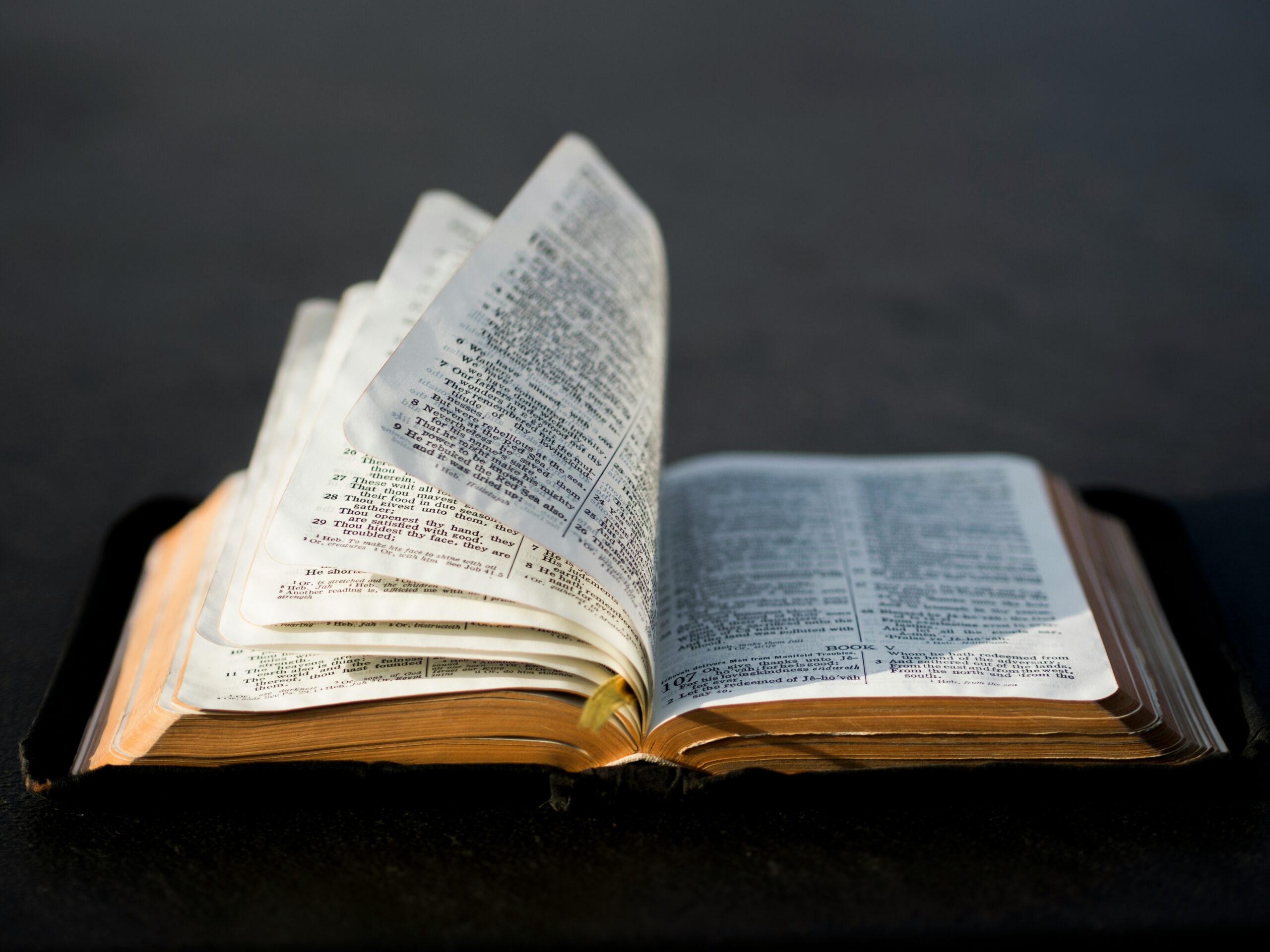 Quaker Testimonies & the Bible by Kate Johnston (2016 Bible Study ...